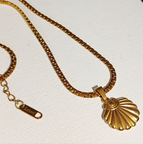 Jewelry | Gold Shell Necklace | Poshmark